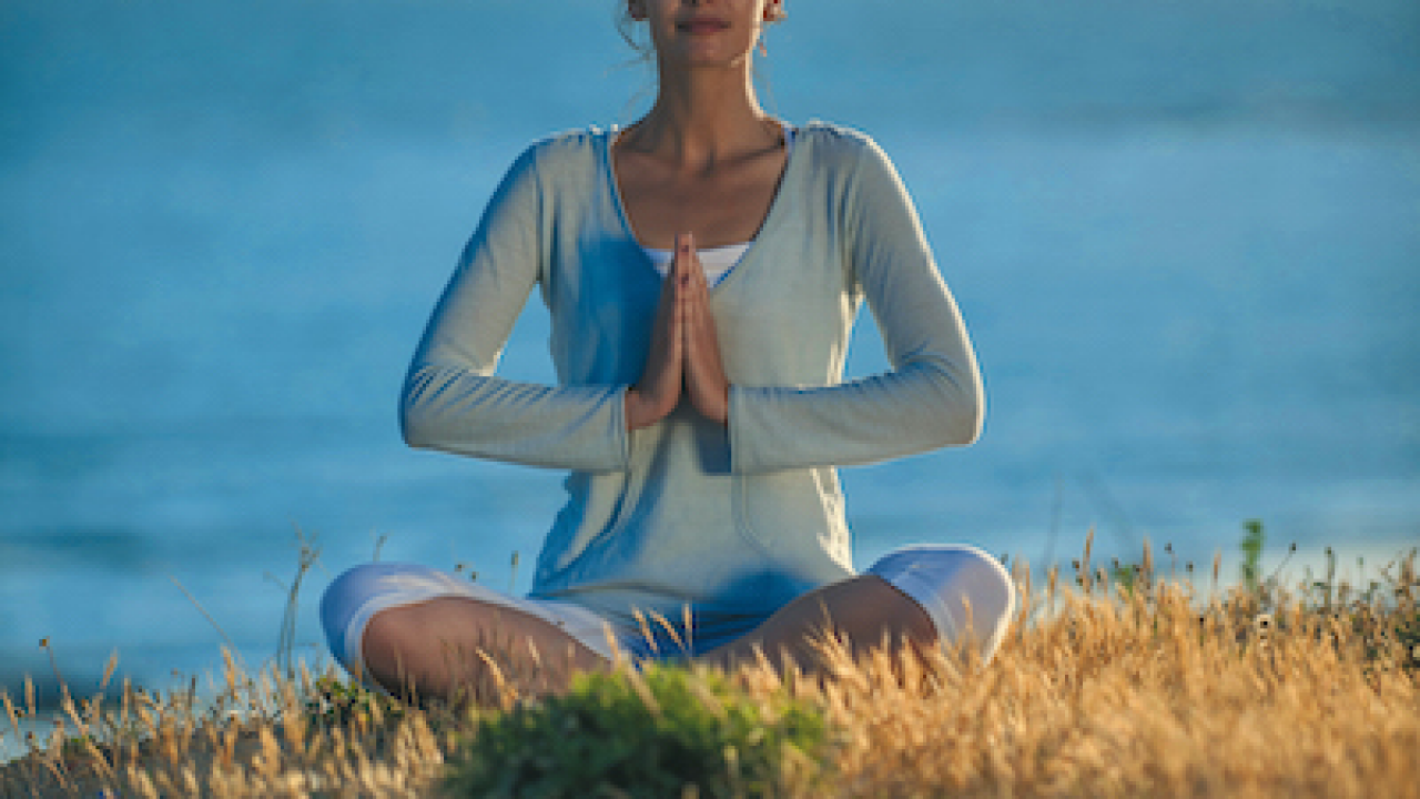MyZen TV - Your lifestyle and well-being channel