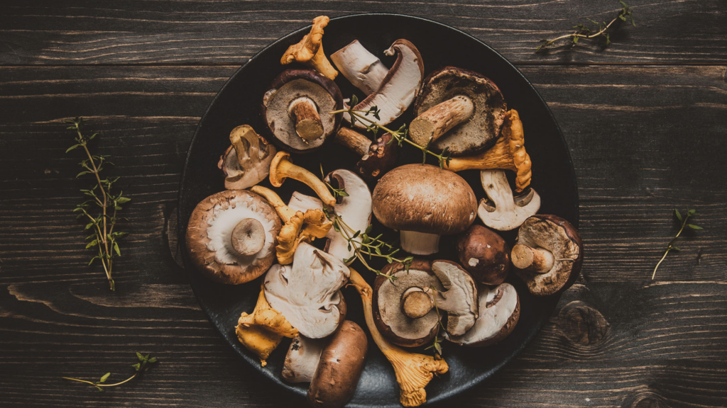 Quelles sont les vertus des champignons ? - MyZen TV
